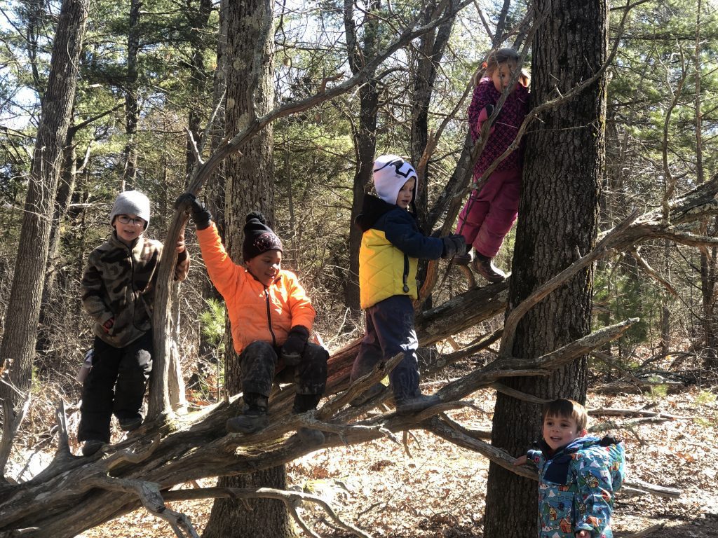 Forest Kindergarten (Ages 3-5) – Merrohawke Nature School