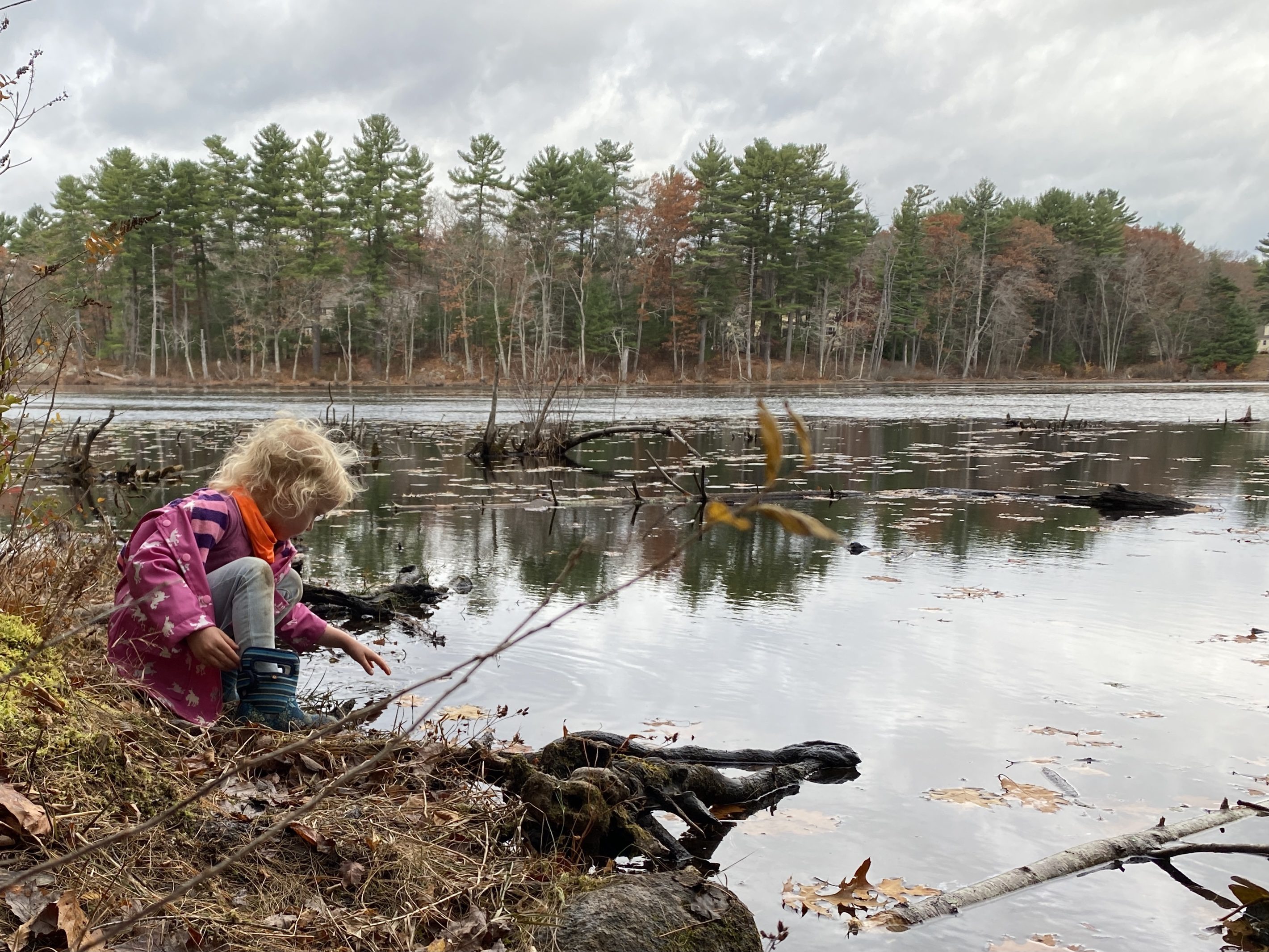 Forest Kindergarten (Ages 3-5) – Merrohawke Nature School